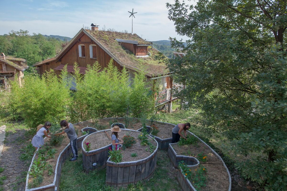 Notre histoire | ZMAG