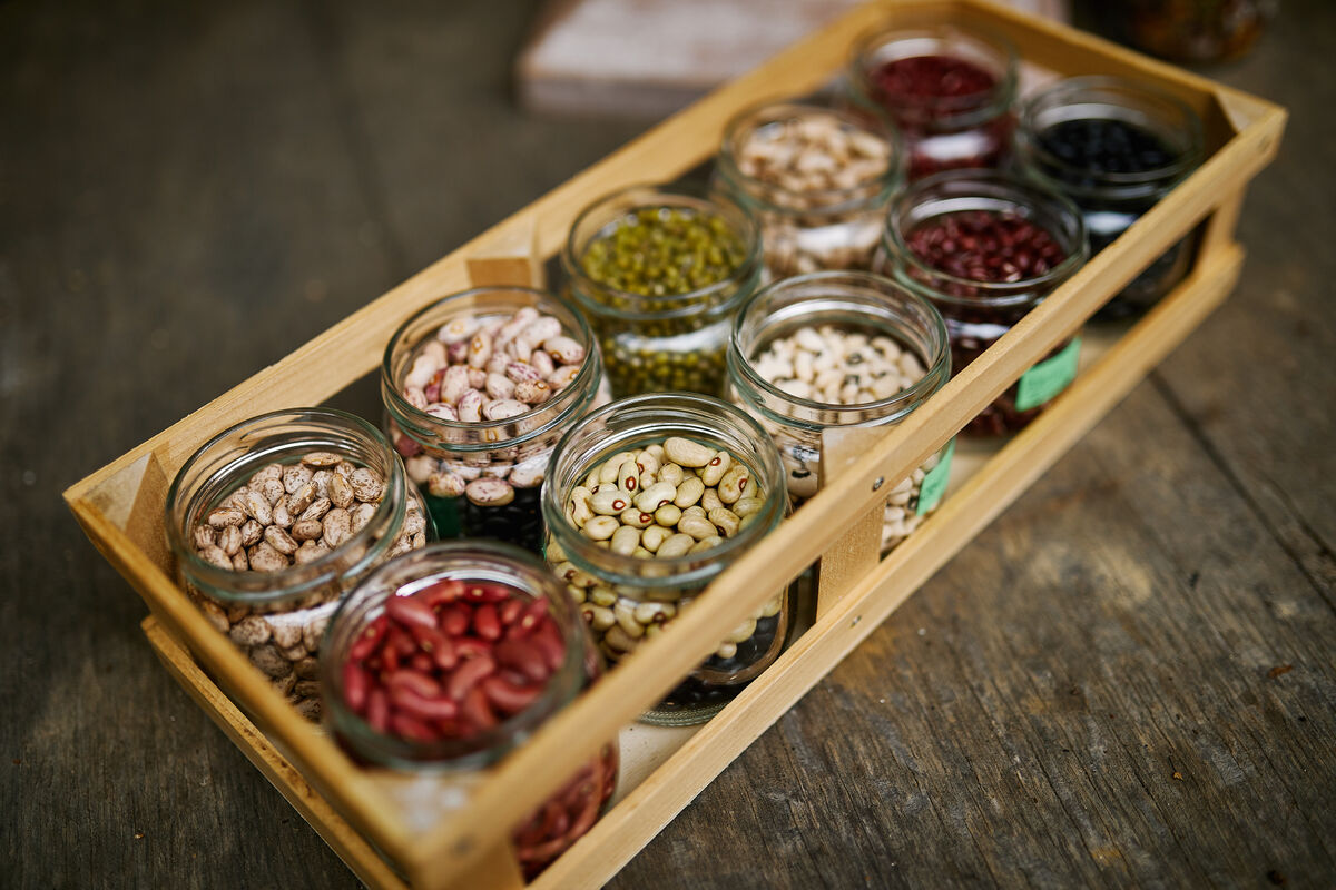 Prepoznajte tradicijske sorte graha uz pomoć ZMAG-ovog letka | ZMAG